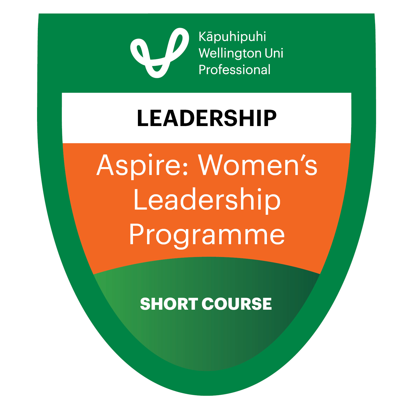 Aspire: Women's Leadership Development Programme - Wellington Uni Professional Learning